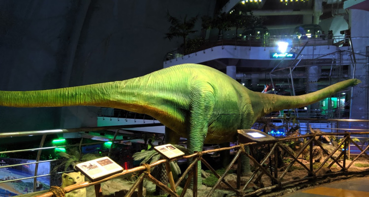 Gujarat Science City Ahmedabad (Entry Fee, Timings, Images & Location ...